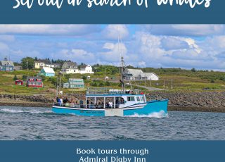 Admiral Digby – Inn, Cottages & Restaurant, 441 Shore Road, Digby Nova ...